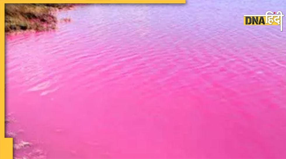 India–Pakistan Border के पास तालाब का पानी हुआ गुलाबी, लोगों ने बताया ...