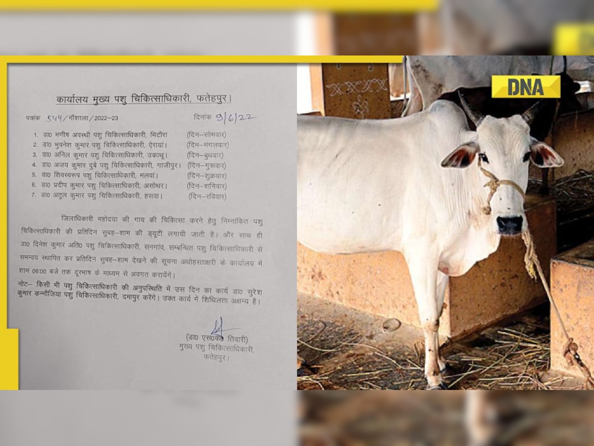 UP: 7 vets deputed in ‘VIP care’ for Fatehpur DM’s cow, copy of order ...