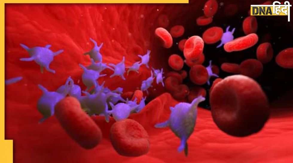 Signs of Low Platelets: ये 6 लक्षण बताते हैं खून में तेजी से कम हो रहा ...