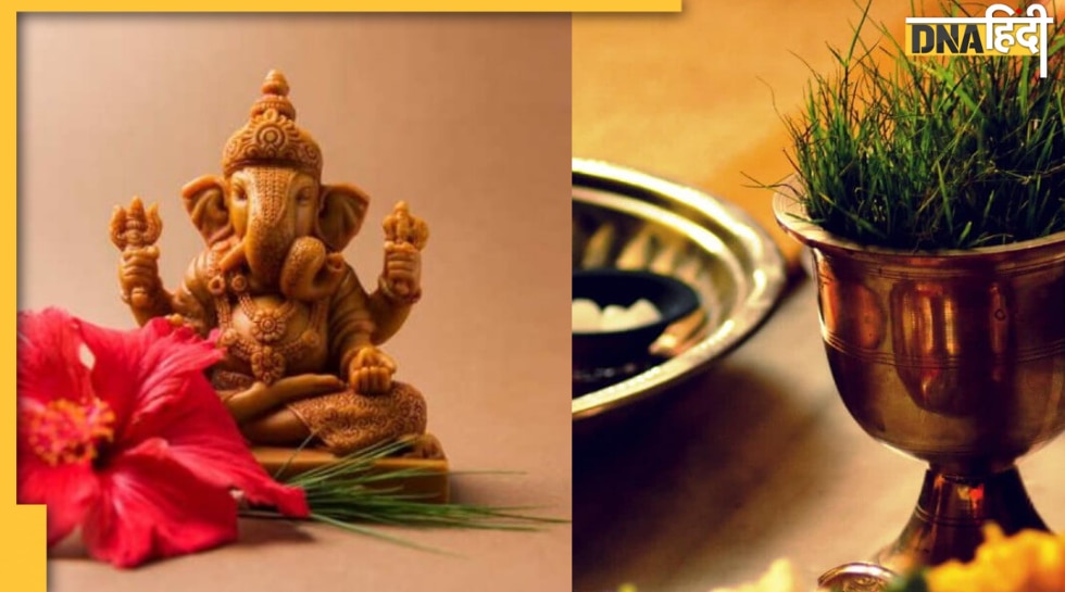 Durba Grass in Puja: दूब के बगैर इस भगवान की पूजा है अधूरी, जानिए इसके ...