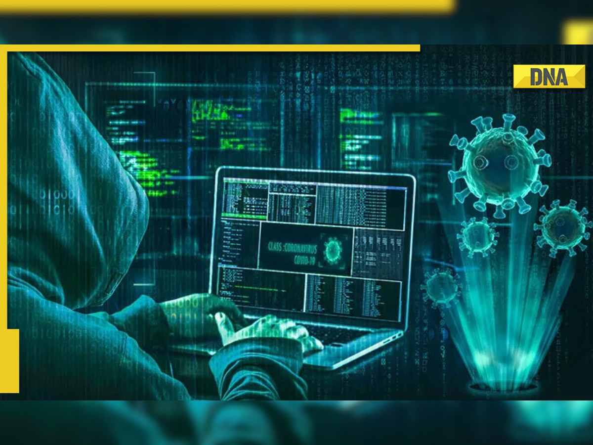 Raccoon Stealer 2.0: Password-stealing malware is back with new version ...