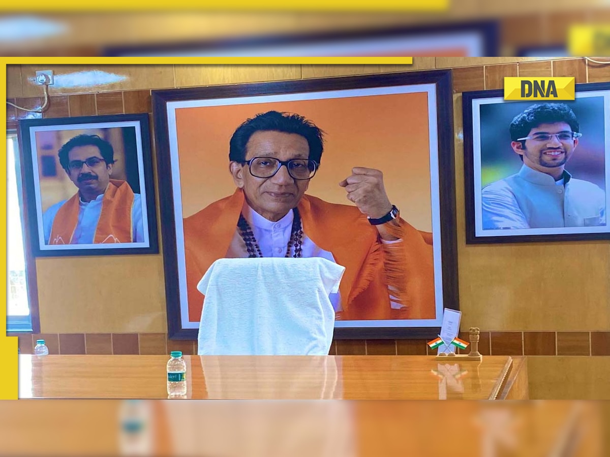 DNA Explainer: Amid Maharashtra crisis, what are the powers of a Chief ...