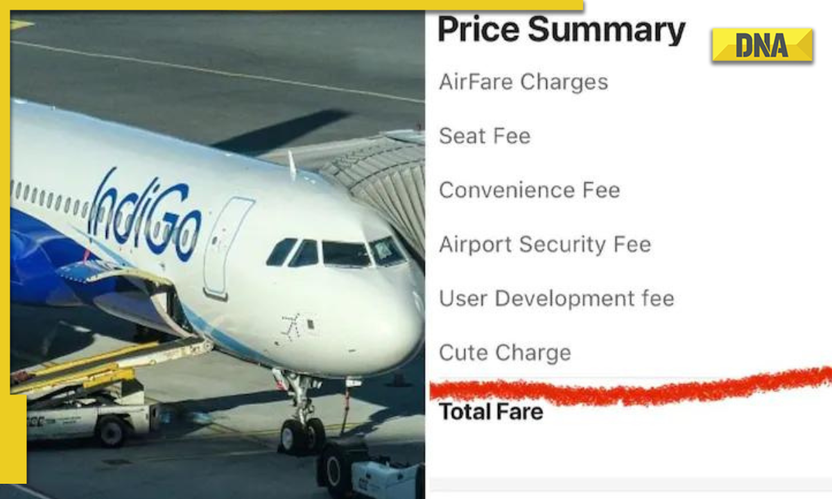 IndiGo charges 'cute fee' from passengers, clarifies after pic goes viral