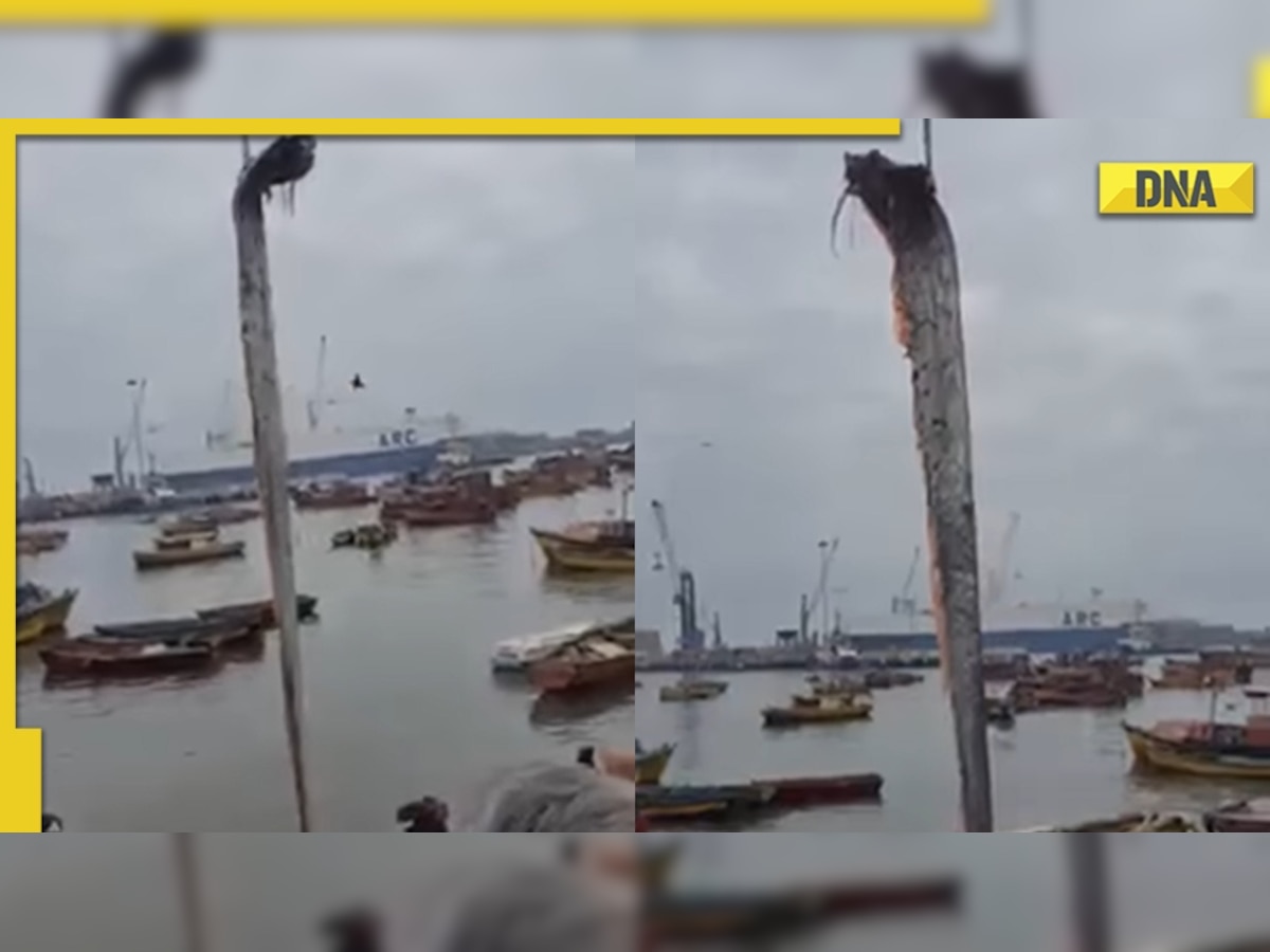 Fear spreads among locals after fishermen catch 16-foot-long monster ...