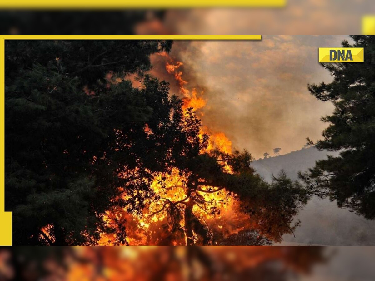 Oak Fire, California's largest wildfire this year, leaves at least 41 ...