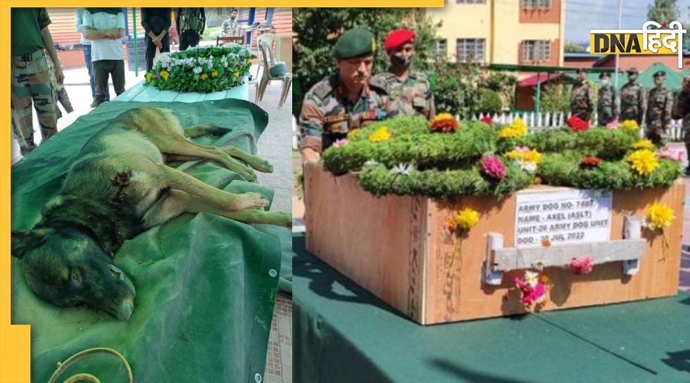 साल भर सख्त ट्रेनिंग, Lover से जुदाई, तब मिलता है शहीद Axel जैसा DOG ...