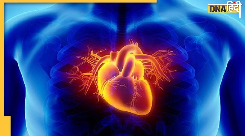 Heart Attack Alert: कान भी बताएंगे आपके दिल का हाल, जानिए क्या है Frank ...