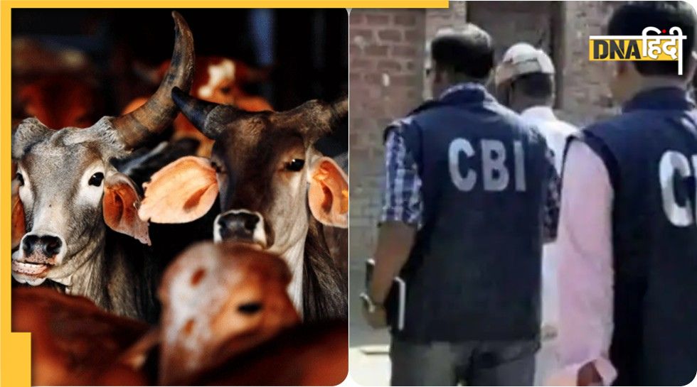 Cattle smuggling scam: बंगाल में TMC नेताओं के घरों पर CBI की रेड, रडार ...