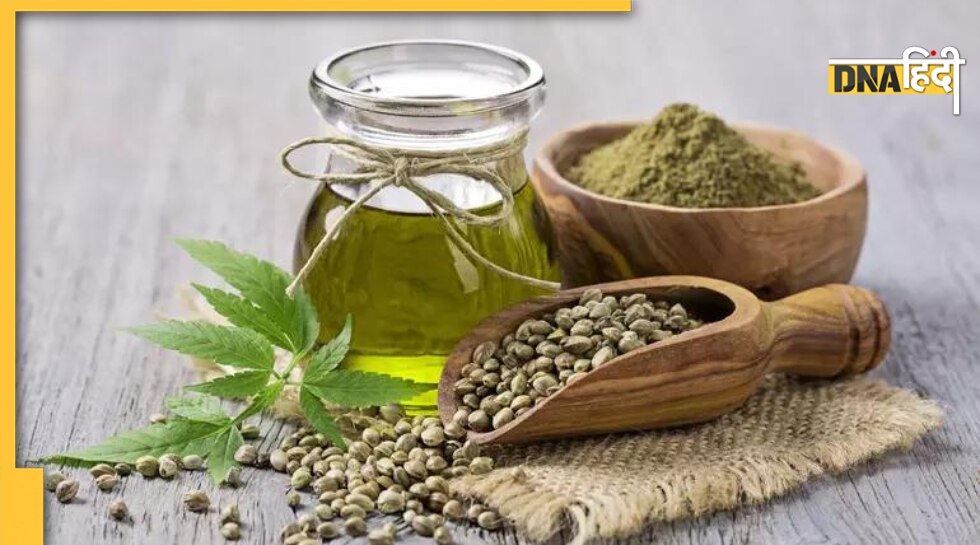 CBD Oil Benefits: तनाव, बेचैनी को दूर भगाने में काम आता है ये तेल ...