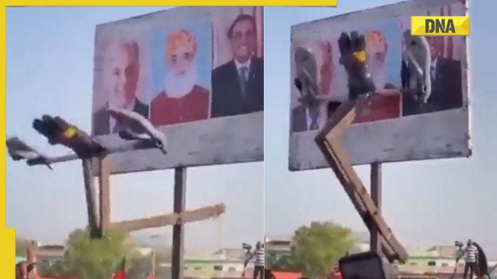 Viral Video: Pakistan's latest invention 'Automatic Laanat Machine' is ...