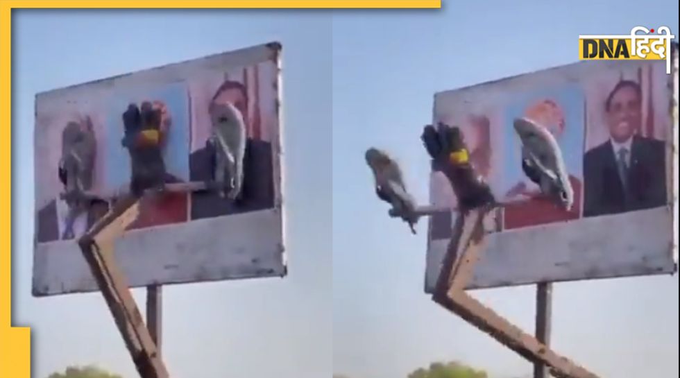 Automatic Laanat Machine: पाकिस्तान का नया आविष्कार देख लोटपोट हुए लोग ...