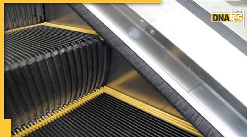 Escalators के किनारों पर क्यों लगे होते हैं ब्रश? जूतों की सफाई नहीं ...