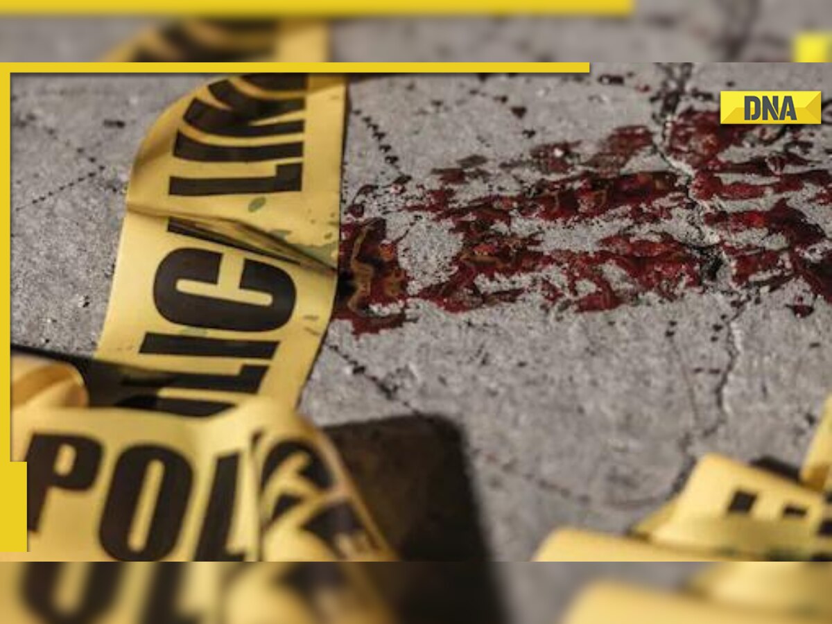 'Serial killer' on spree in Madhya Pradesh, smashes heads of sleeping ...