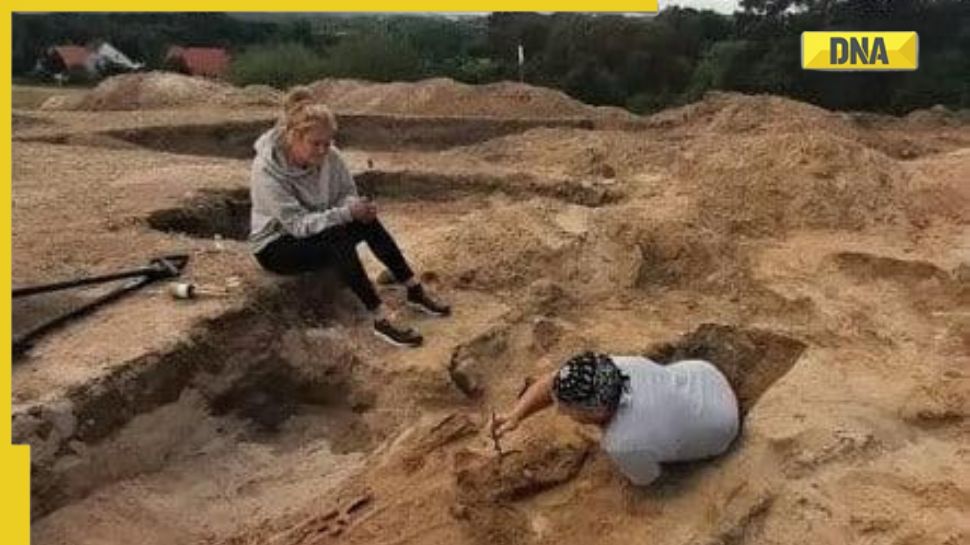 Remains of 17th-century 'vampire' discovered in Poland, social media ...