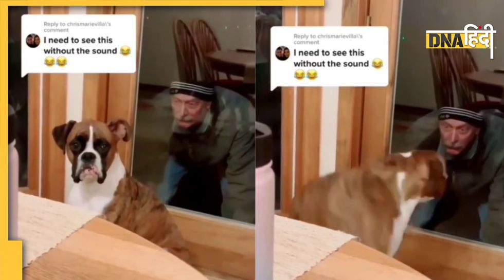 Funny Video: बदला लेने उतरे अंकल, ऐसा डराया कि कुत्ता बन गया भीगी बिल्ली