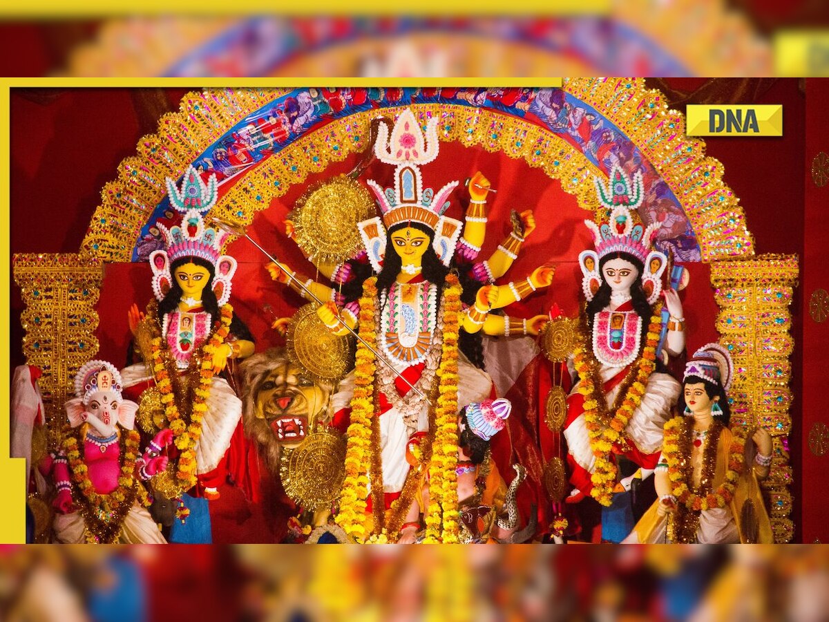 Navratri 2022: 5 falhari chaat recipes you can enjoy during your fast