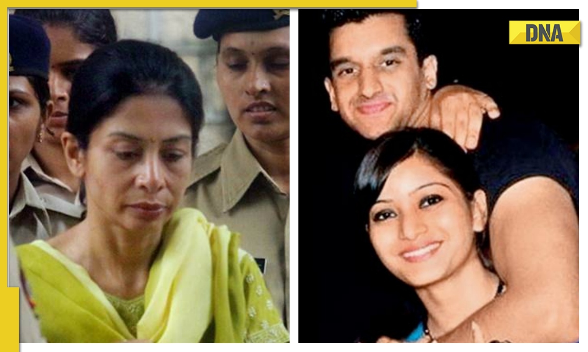 'Did not classify Indrani as my parent': Here's what Rahul Mukerjea ...