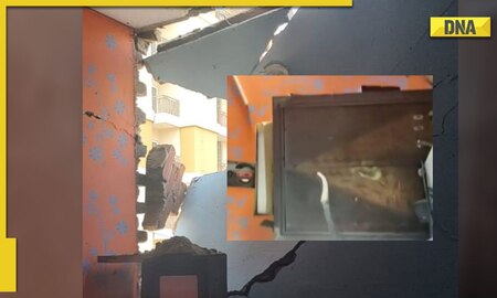 LCD TV blast kills 16-year-old in UP: What causes a TV to explode