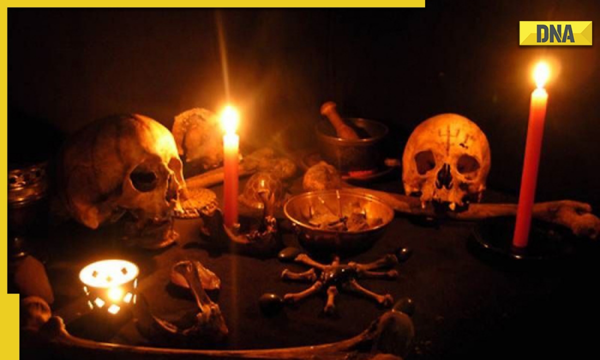 DNA Explainer | Kerala 'human sacrifices': Central legislation awaited ...