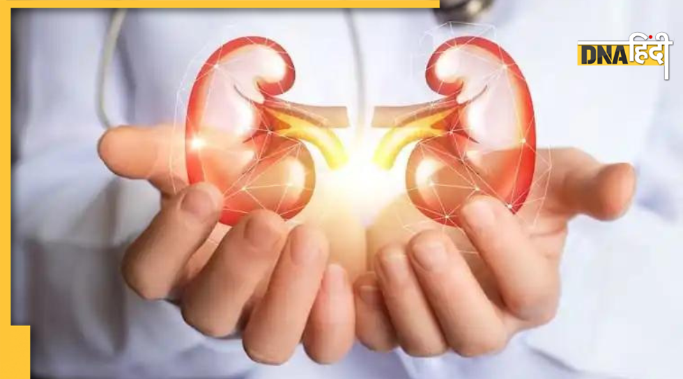 Dialysis Food डायलिसिस करवा रहे हैं तो डाइट में शामिल करें ये खाने की चीजें दूध से रखें परहेज