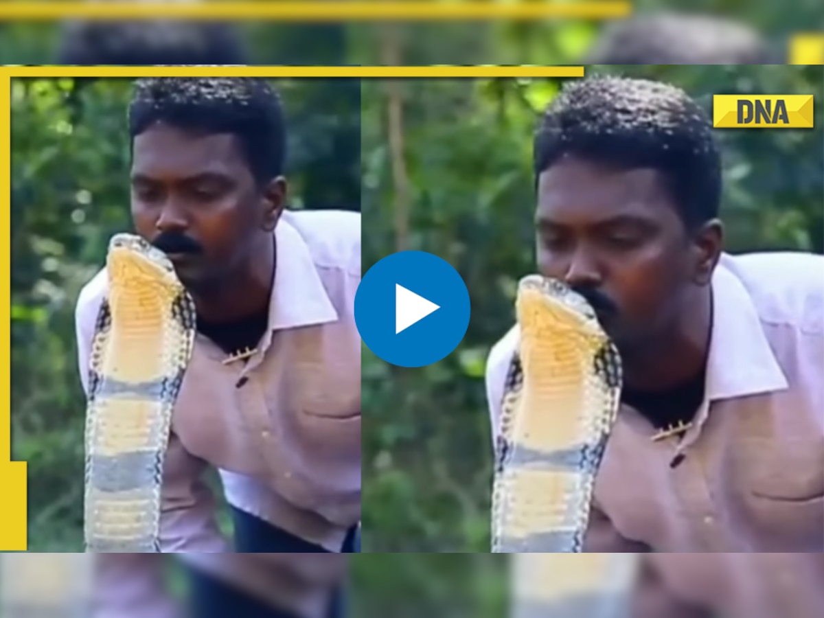 Man kisses king cobra in spine-chilling viral video, netizens react