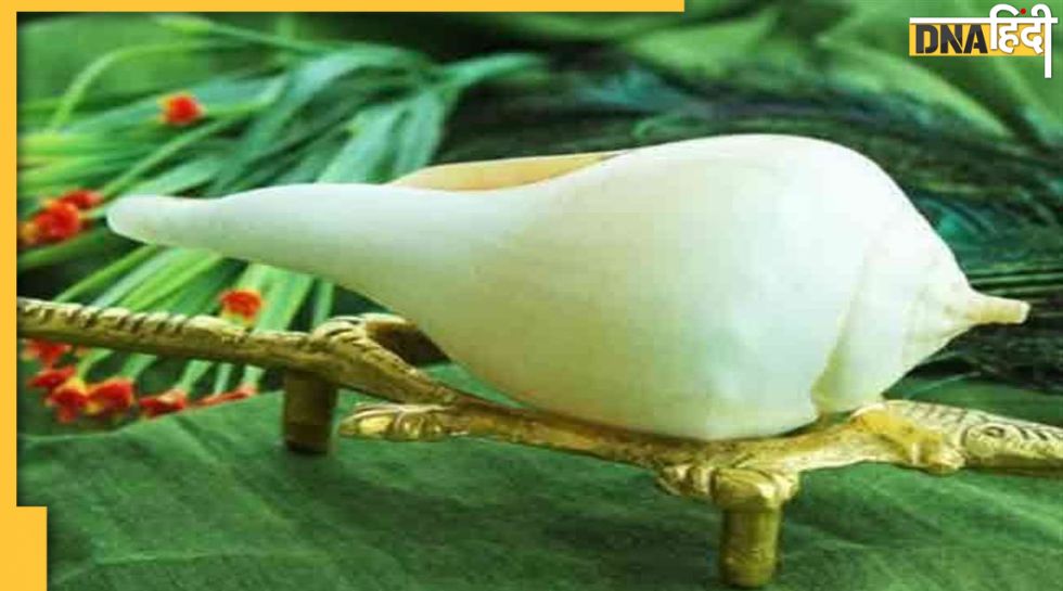 Diwali Dakshinavarti shankh Puja: आज दिवाली पर दक्षिणावर्ती शंख की पूजा ...