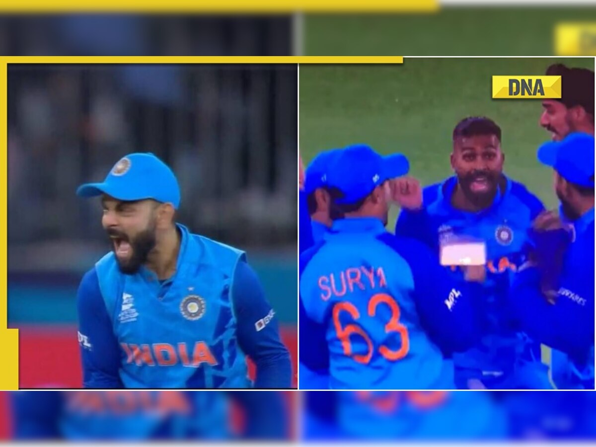 IND vs SA: Virat Kohli's pumped celebration after Rilee Rossouw's dismissal goes viral, watch