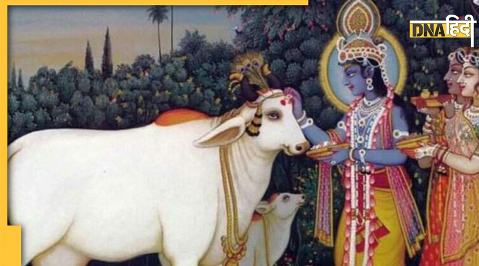 Gopashtami 2022: आज गोपाष्टमी पर बन रहा अभिजीत मुहूर्त, नोट कर लें तिथि ...