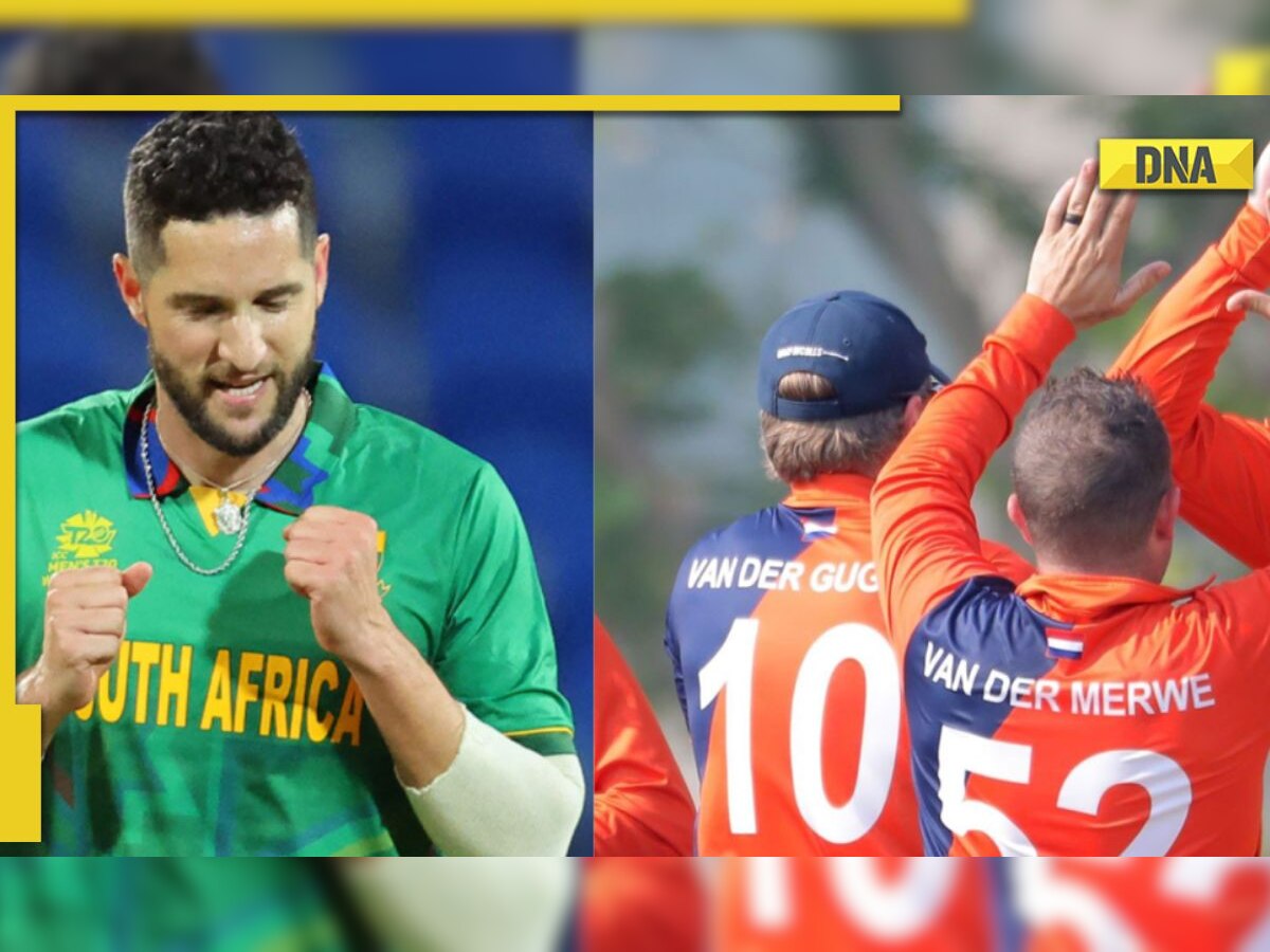SA vs NED Dream11 prediction: Fantasy cricket tips for South Africa vs ...