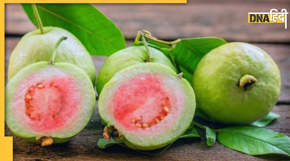 Guava Benefits: ठंड में जमकर खाएं अमरूद, नहीं होगी सर्दी-खांसी, ये भी ...