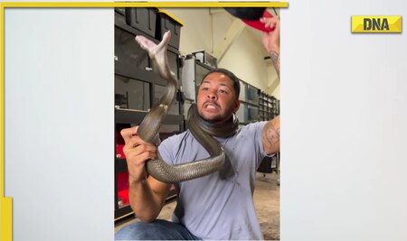 Massive python almost chokes man to death, viral video terrifies netizens