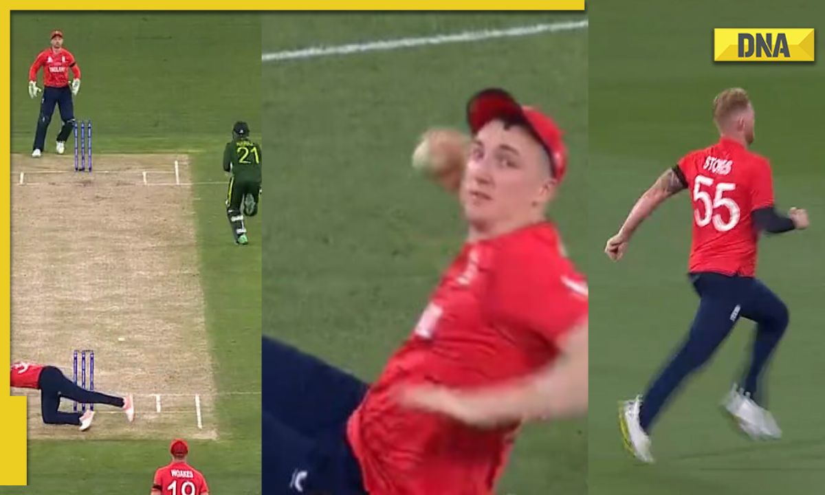 Watch: Comedy of errors as Harry Brook drops catch, misses run-out ... Watch: Comedy of errors as Harry Brook drops catch, misses run-out ...
