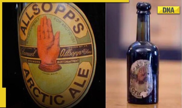World's most expensive beer being sold at Rs 4.05 crore, know all about ...