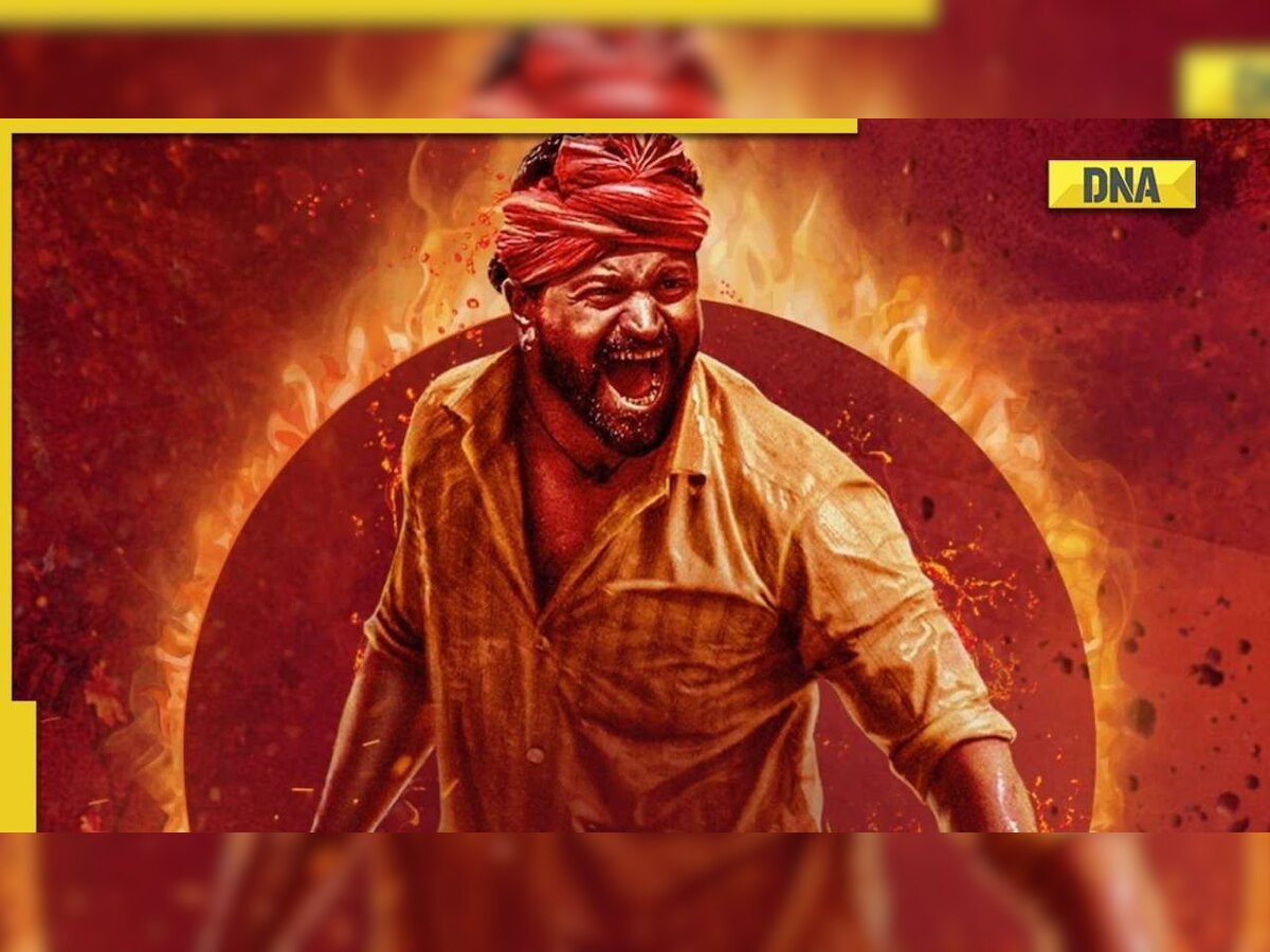 Kantara Hindi box office collection: Rishab Shetty starrer inches ...