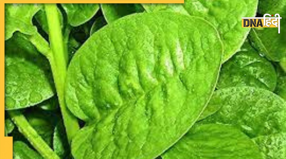 Pui Sag Benefits: सर्दियों में नसों की ब्लॉकेज खोल गंदा कोलेस्ट्रॉल ...