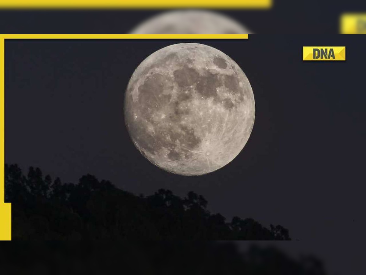 DNA Special: Will humans start residing on the Moon by 2030? Here's ...
