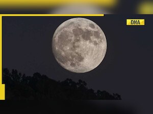 DNA Special: Will humans start residing on the Moon by 2030? Here's ...
