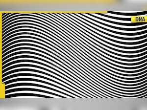 Can you spot the hidden word in this viral optical illusion?