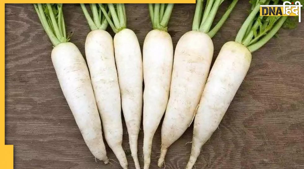 Radish Side Effect: इन 7 बीमारियों में मूली पहुंचा देगी हॉस्पिटल, ठंड ...