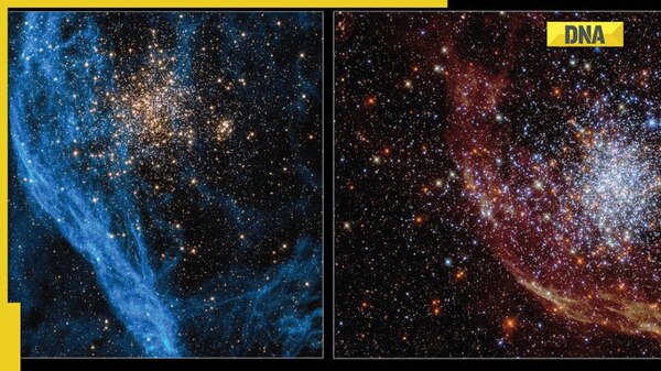 NASA: Hubble Space Telescope captures dual views of unusual star ...