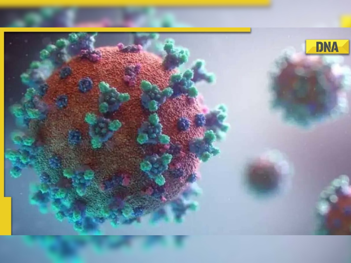 Explained: What is virus and where did it originate? Why is coronavirus ...