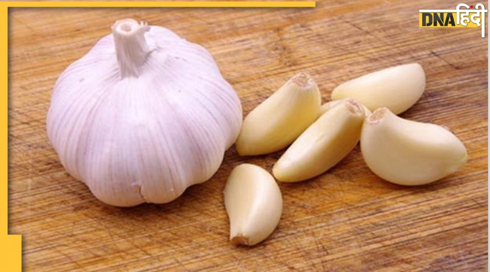 Garlic Side Effects: इन 7 बीमारियों में लहसुन खाना पहुंचा देगा हॉस्पिटल ...