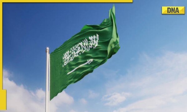 DNA Explainer: Saudi Arabia makes major change in citizenship rules ...