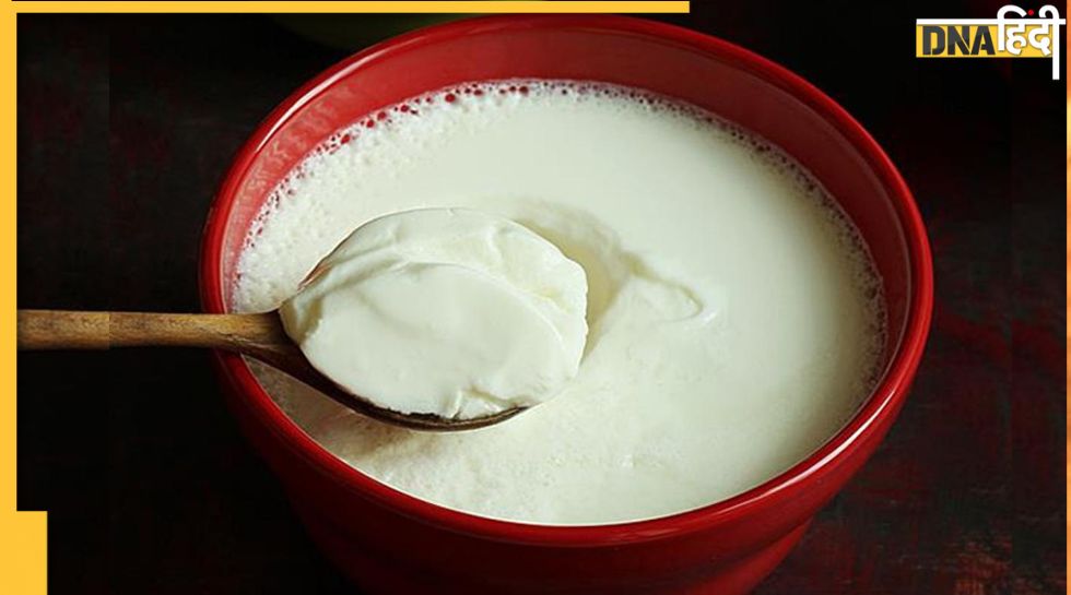 Curd Side Effects: इन बीमारियों में दही खाना हॉस्पिटल तक पहुंचा देगा ...