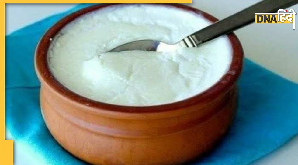Dahi ke fayde: खाने के साथ क्यों लेना चाहिए दही या रायता? जानें इसके फायदे