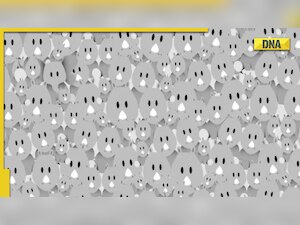 Optical illusion: Only 2% people can spot elephant hidden in THIS pic