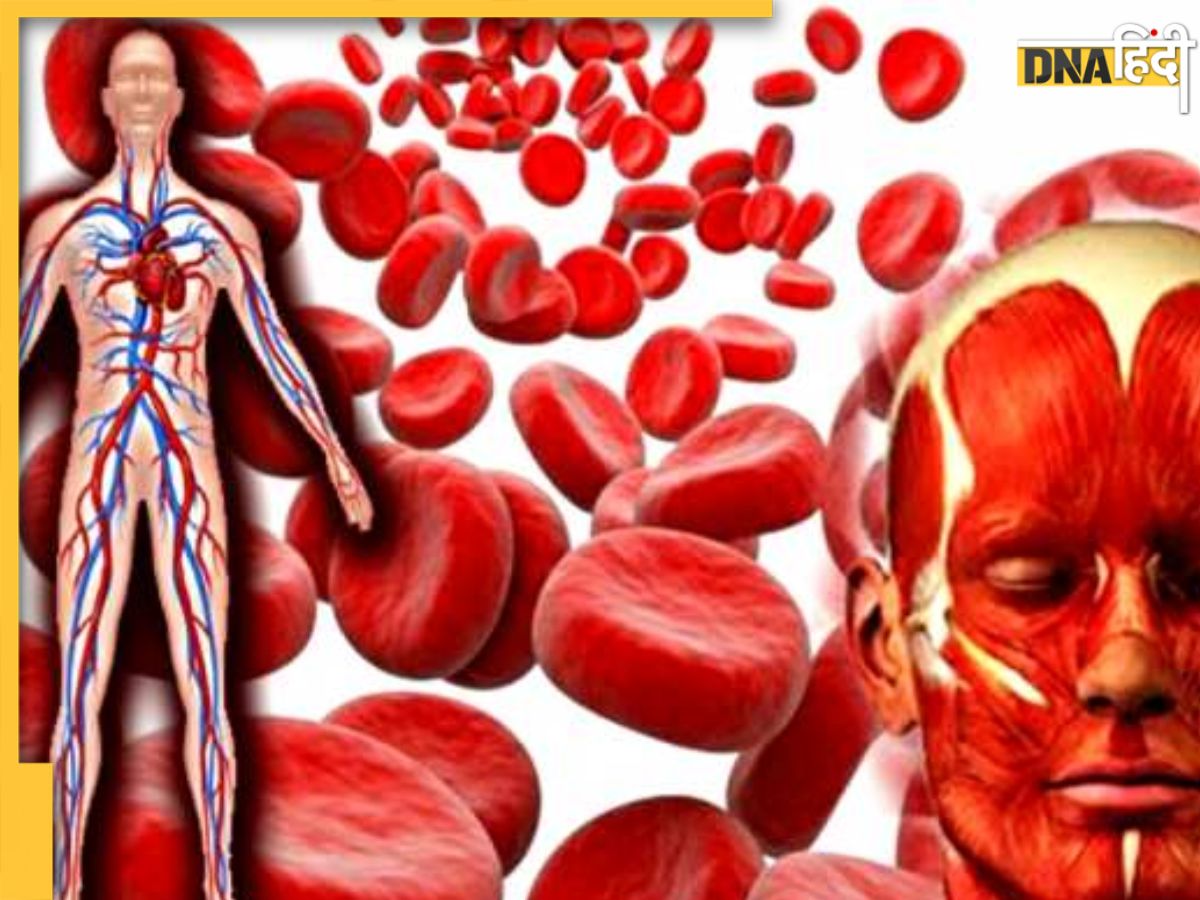 Hypervolemia: ये 9 फूड बॉडी में जरूरत से ज्यादा बनाने लगते हैं खून, बढ़ ...