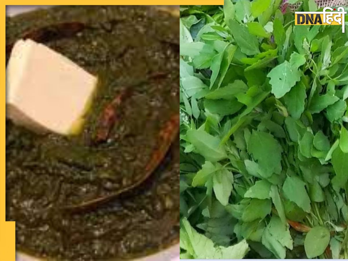 Bathua Saag: सर्दियों में ब्लड शुगर से लेकर इन 5 बीमारियों में असरदार है बथुआ साग, फायदे जान आप ...