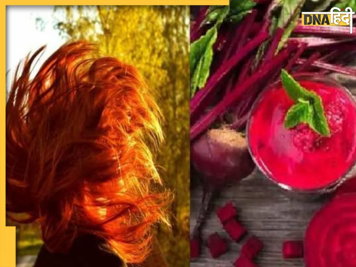 Natural Hair Color: सफेद बालों को ऐसे दें नेचुरली बरगंडी कलर, मेहंदी के ...