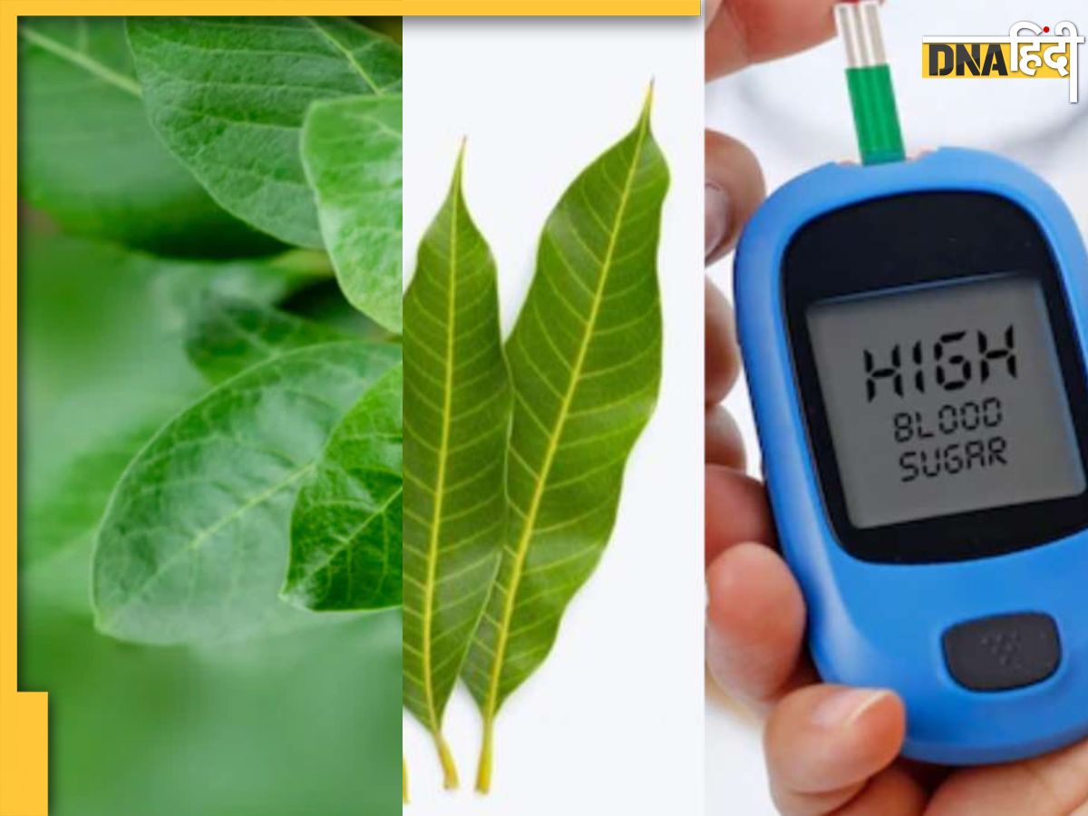 Diabetes Leaves Benefits : सुबह उठते ही पानी में डालकर पिएं ये पत्ते ...